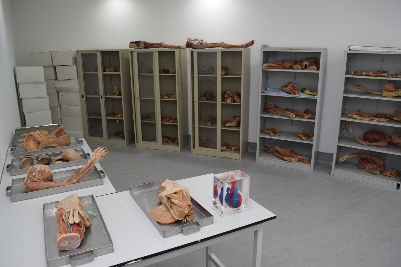 Laboratories | University of Cyberjaya