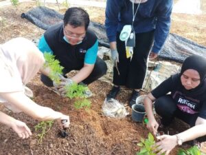 Sustainability | University of Cyberjaya