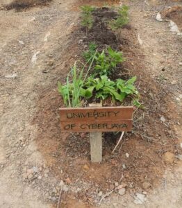 Sustainability - University of Cyberjaya